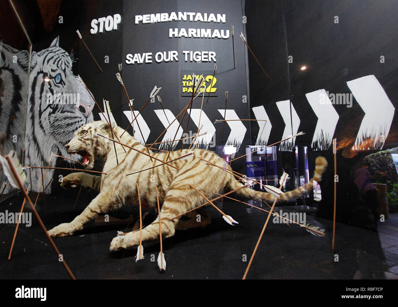 A tiger seen hunted and killed, this diorama educates not to kill rare ...