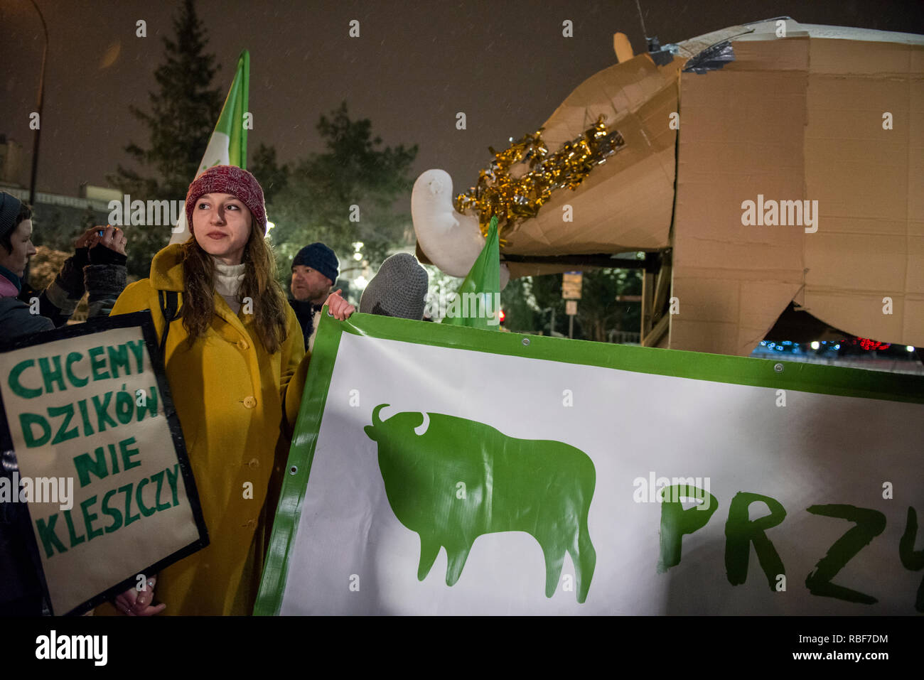 Activists seen carrying a model of wild boar during a protest against a ...