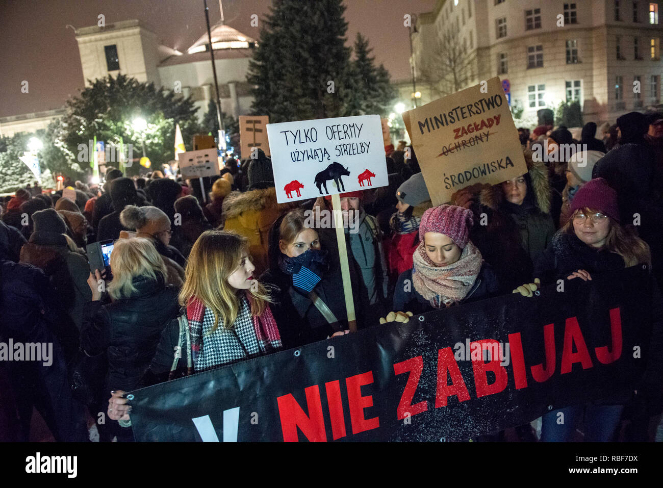 Activists protesting against a government plan to slaughter more than ...