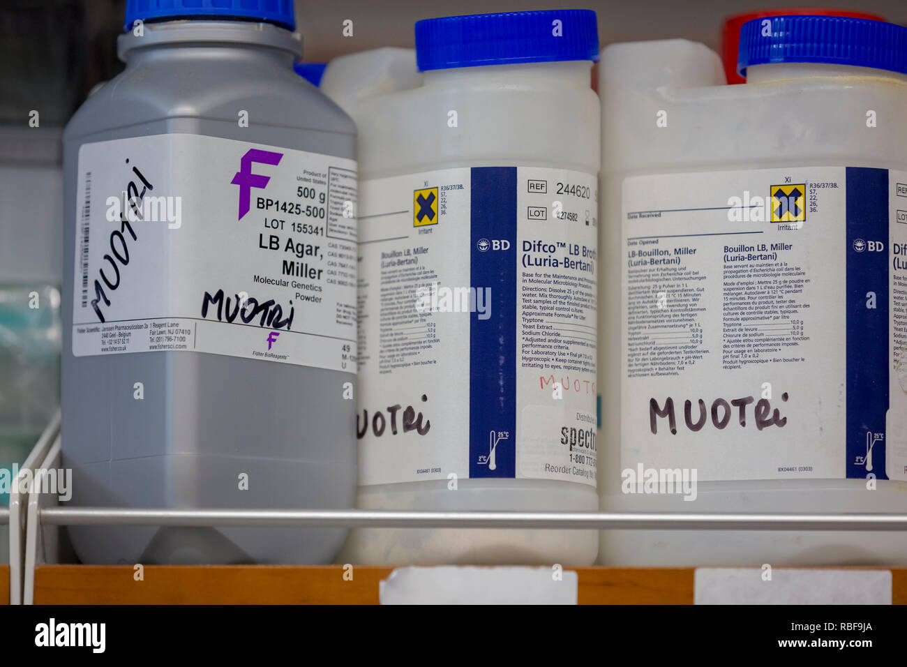 San Diego, California, USA. 9th Oct, 2018. -Detail photo from the ...