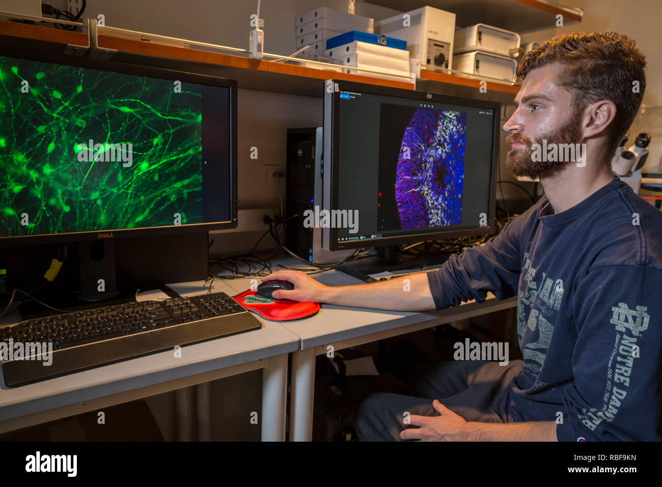 Left brain right brain computers hi-res stock photography and images ...
