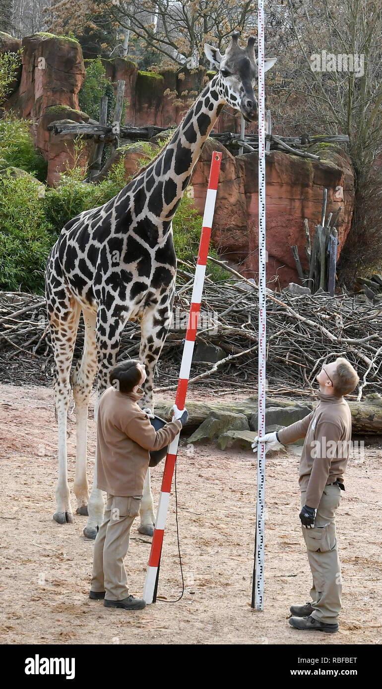 Niobe stands hi-res stock photography and images - Alamy