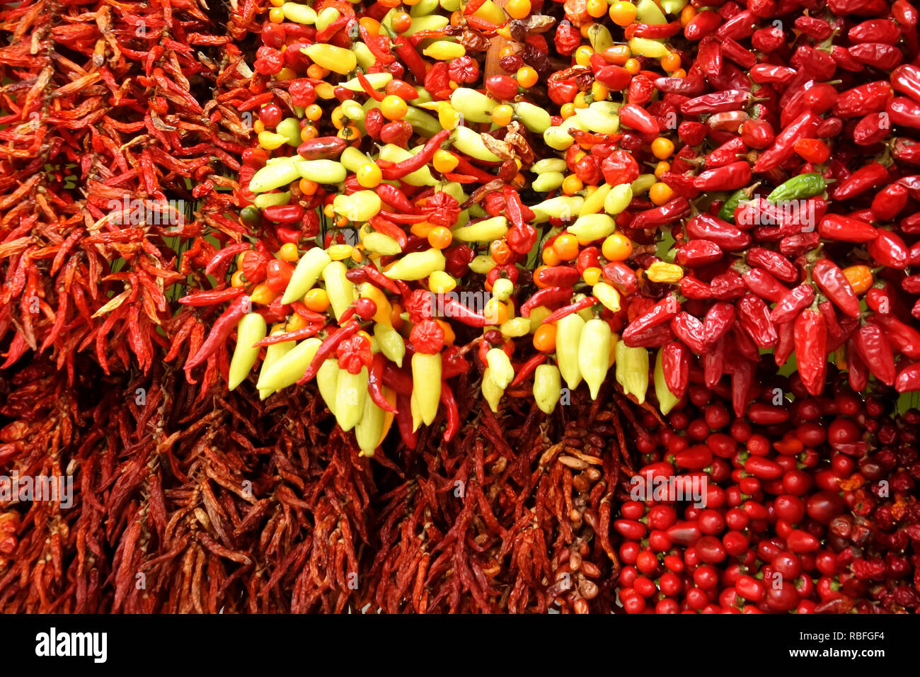 Chilli Varieties High Resolution Stock Photography and Images - Alamy
