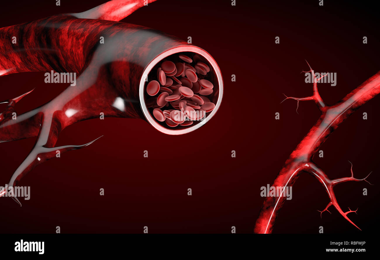 Normal artery hi-res stock photography and images - Alamy