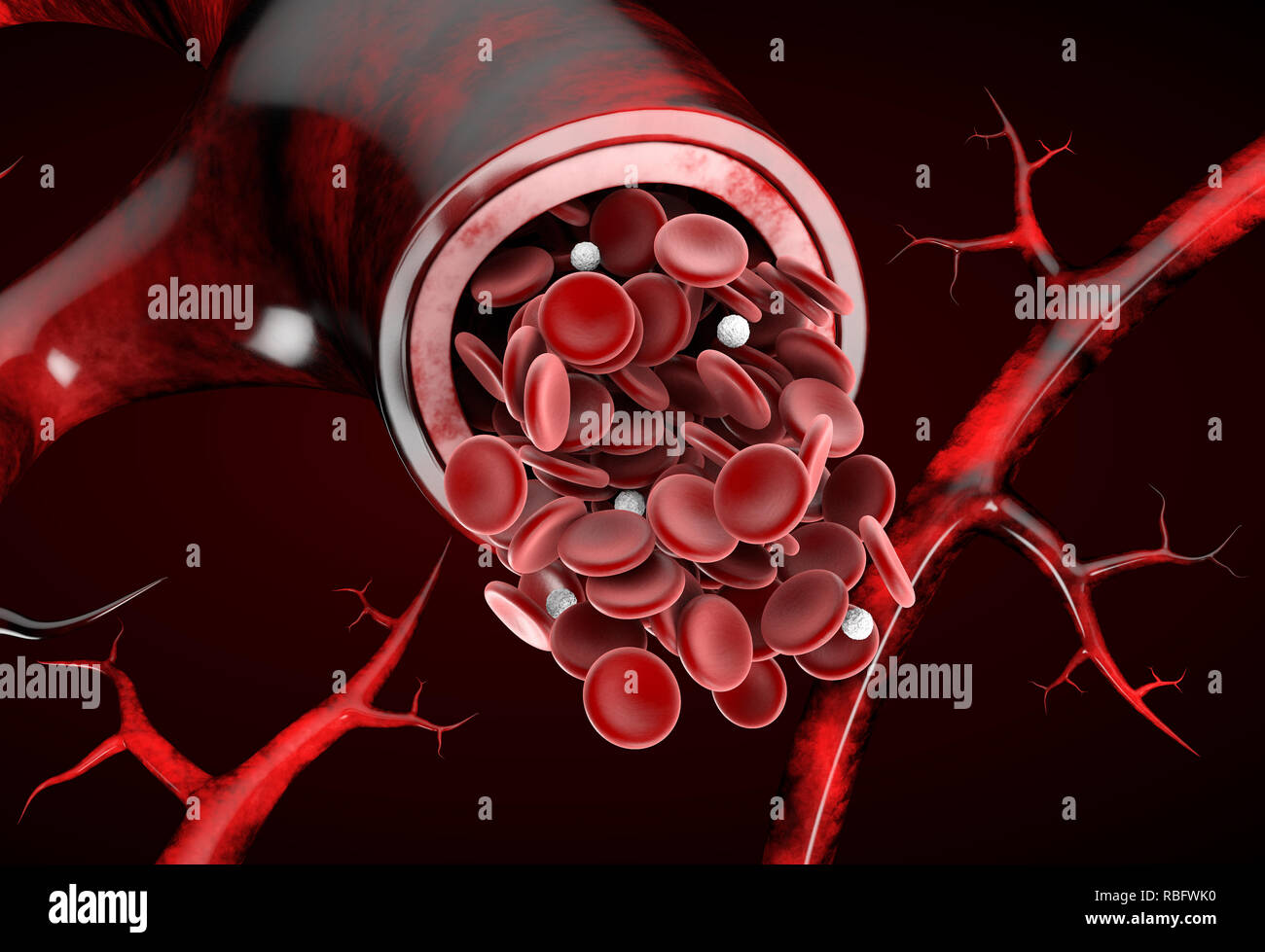 Normal artery red blood flow realistic 3d illustration isolated ...