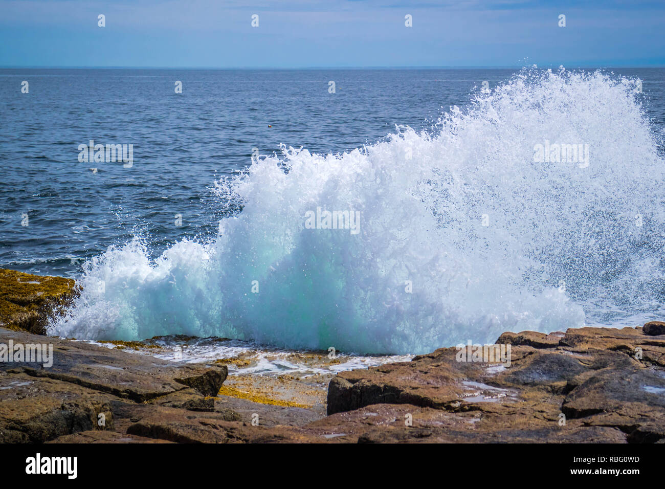 Schoodic Point in Acadia National Park, Maine Stock Photo - Alamy