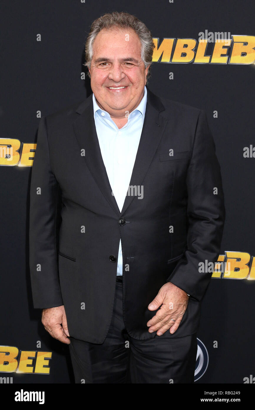 "Bumblebee" World Premiere at the TCL Chinese Theater IMAX on December ...