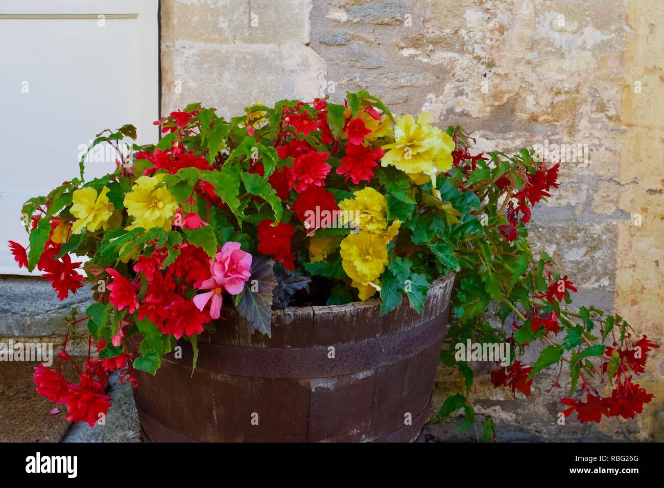 Photographic flowers hi-res stock photography and images - Alamy