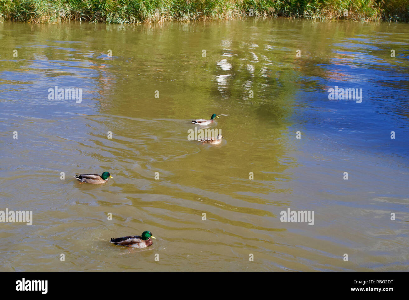 Sandwich, Kent, England Stock Photo - Alamy