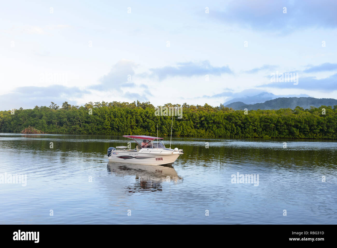 Daintree rainforest river hi-res stock photography and images - Alamy