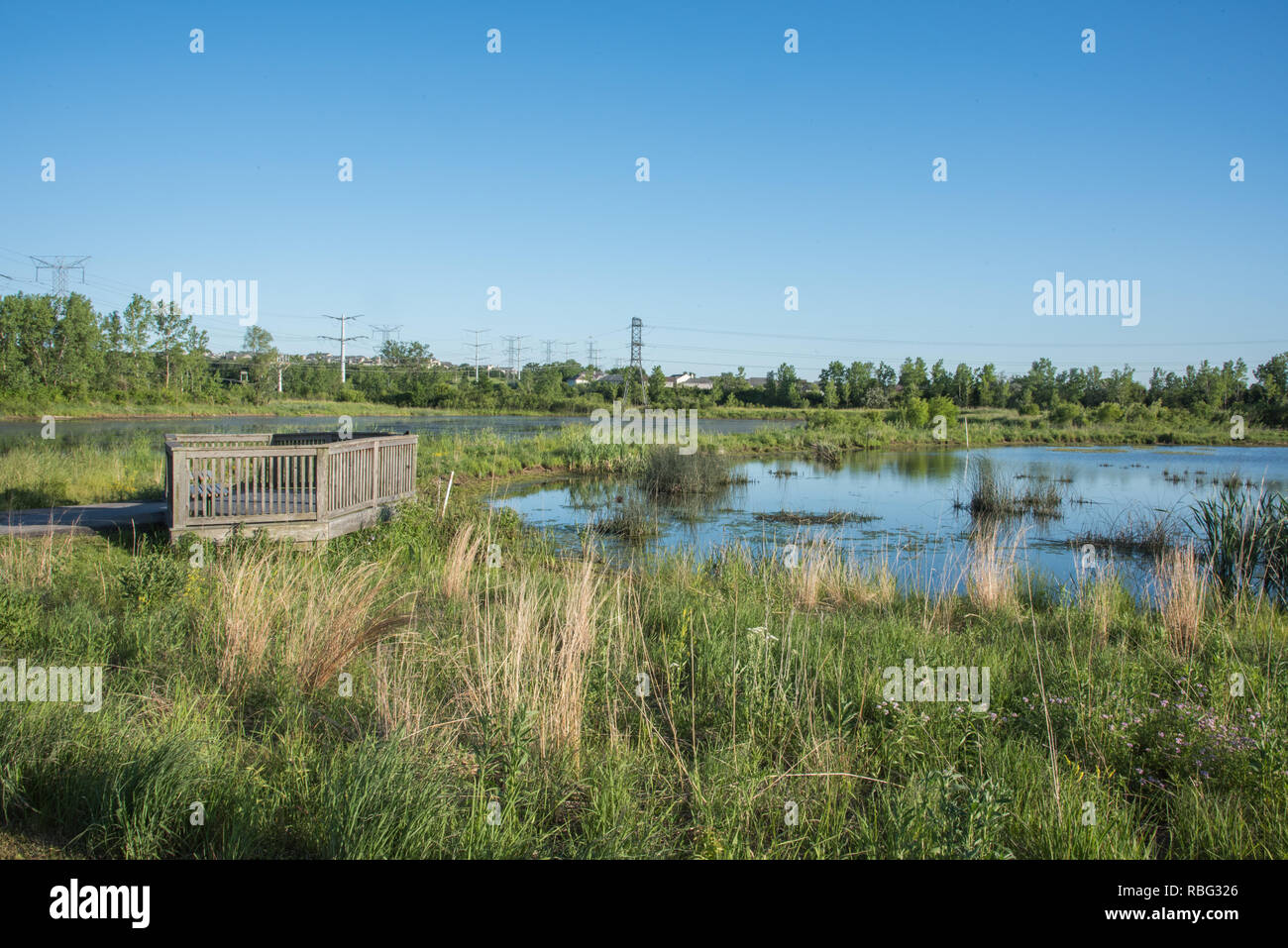 Whalon Lake wetland scene with wooden lookout platform and local power ...