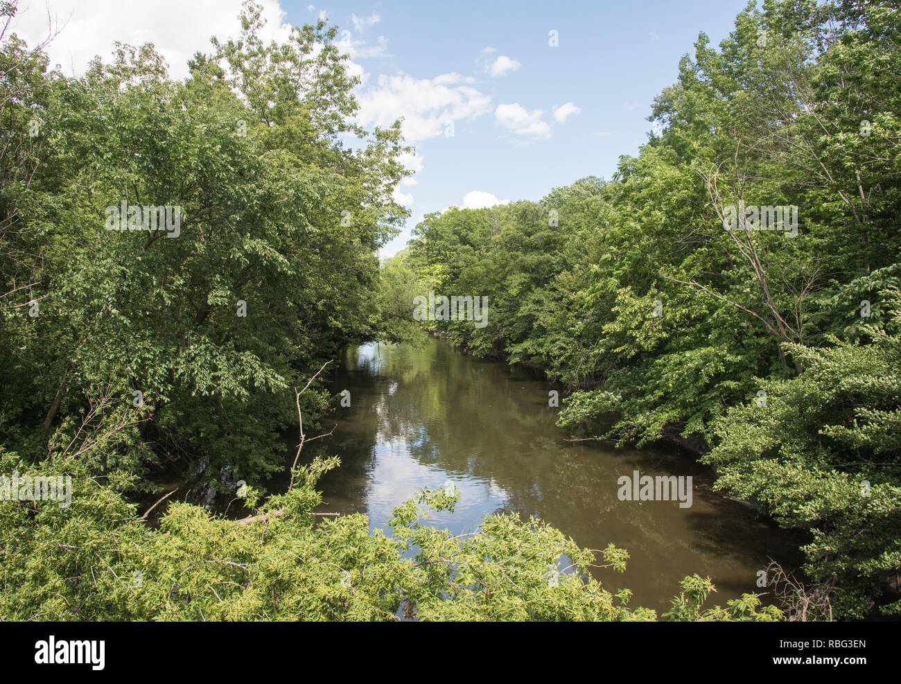Lush greenery surrounding the west branch of the DuPage River at Knoch ...