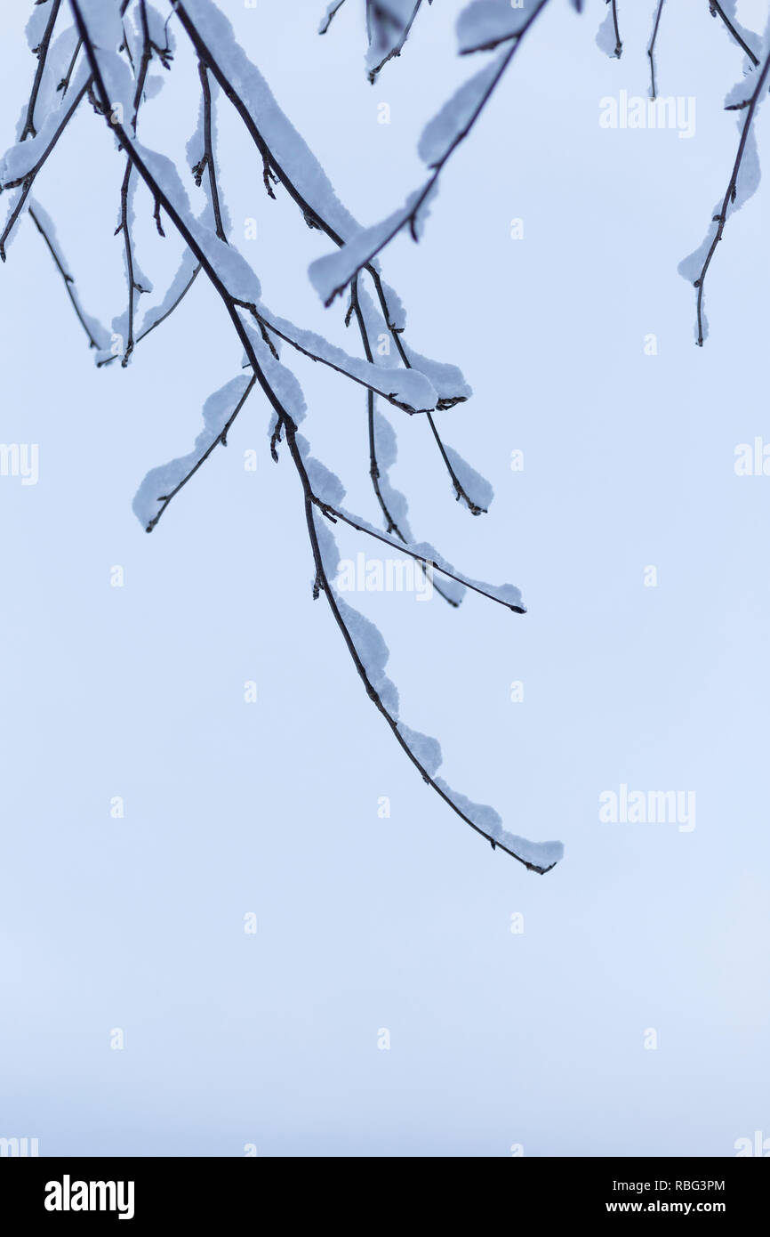 Gray sky snow hi-res stock photography and images - Alamy