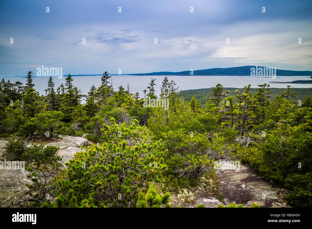 Schoodic Head Point in Acadia National Park, Maine Stock Photo - Alamy