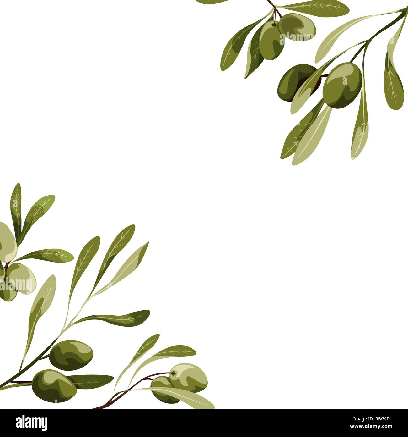 Vector corners with olive tree decoration. Vegan food illustration ...