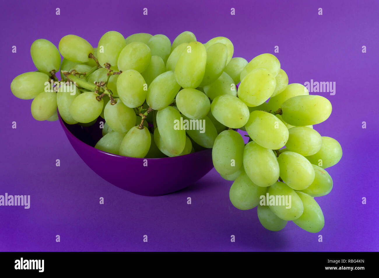 Fresh raw green grapes in purple bowl on proton purple background ...