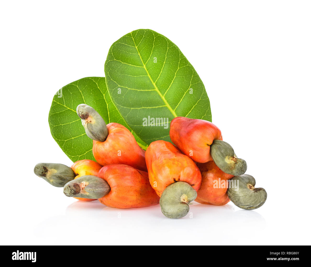 cashew fruit isolated on white background Stock Photo - Alamy