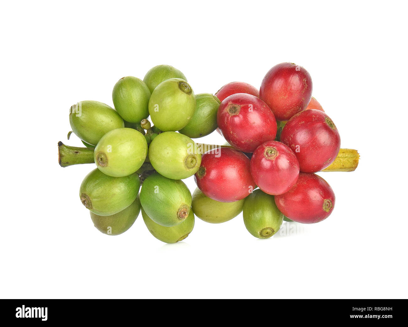 fresh coffee beans isolated on white background Stock Photo - Alamy