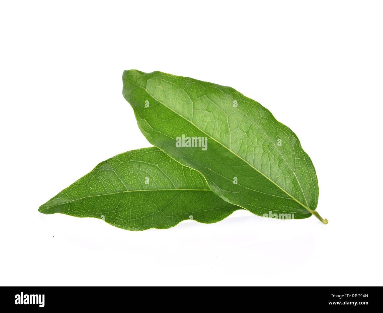 Yanang leaf isolated on white background Stock Photo - Alamy