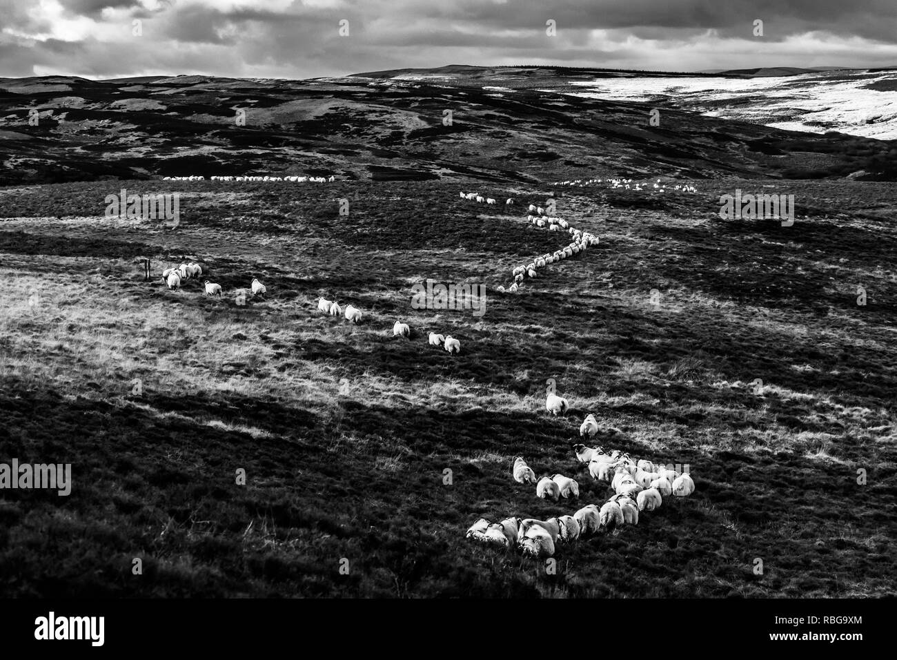 Bog Wind Farm High Resolution Stock Photography and Images - Alamy