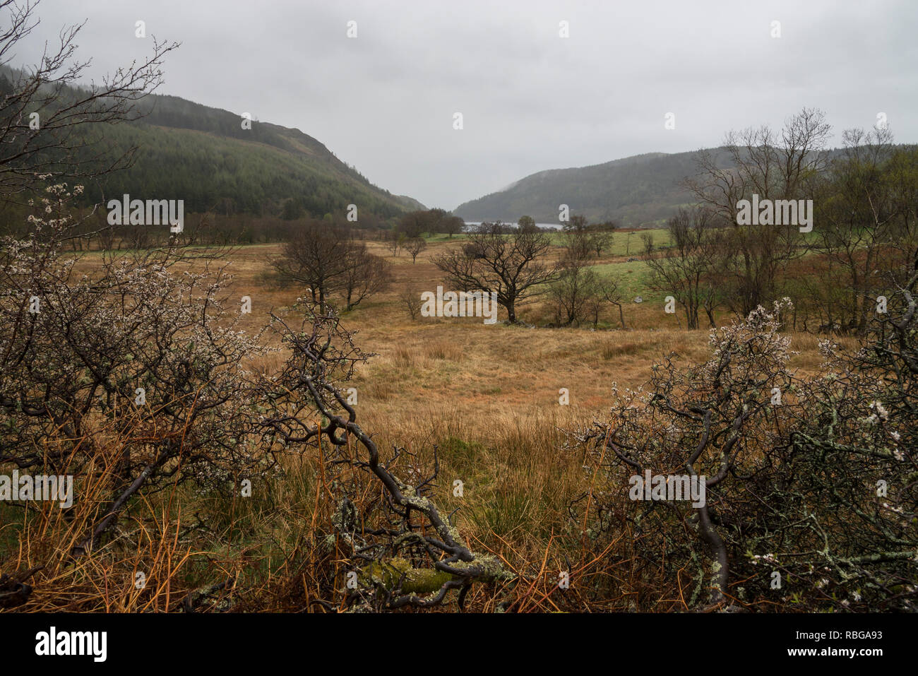 Wet spring hi-res stock photography and images - Alamy