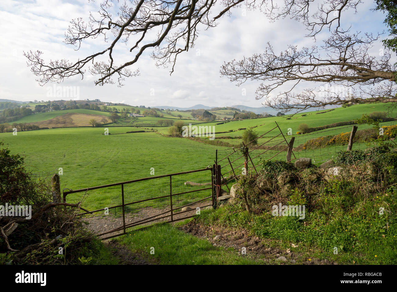 Welsh countryside hi-res stock photography and images - Alamy