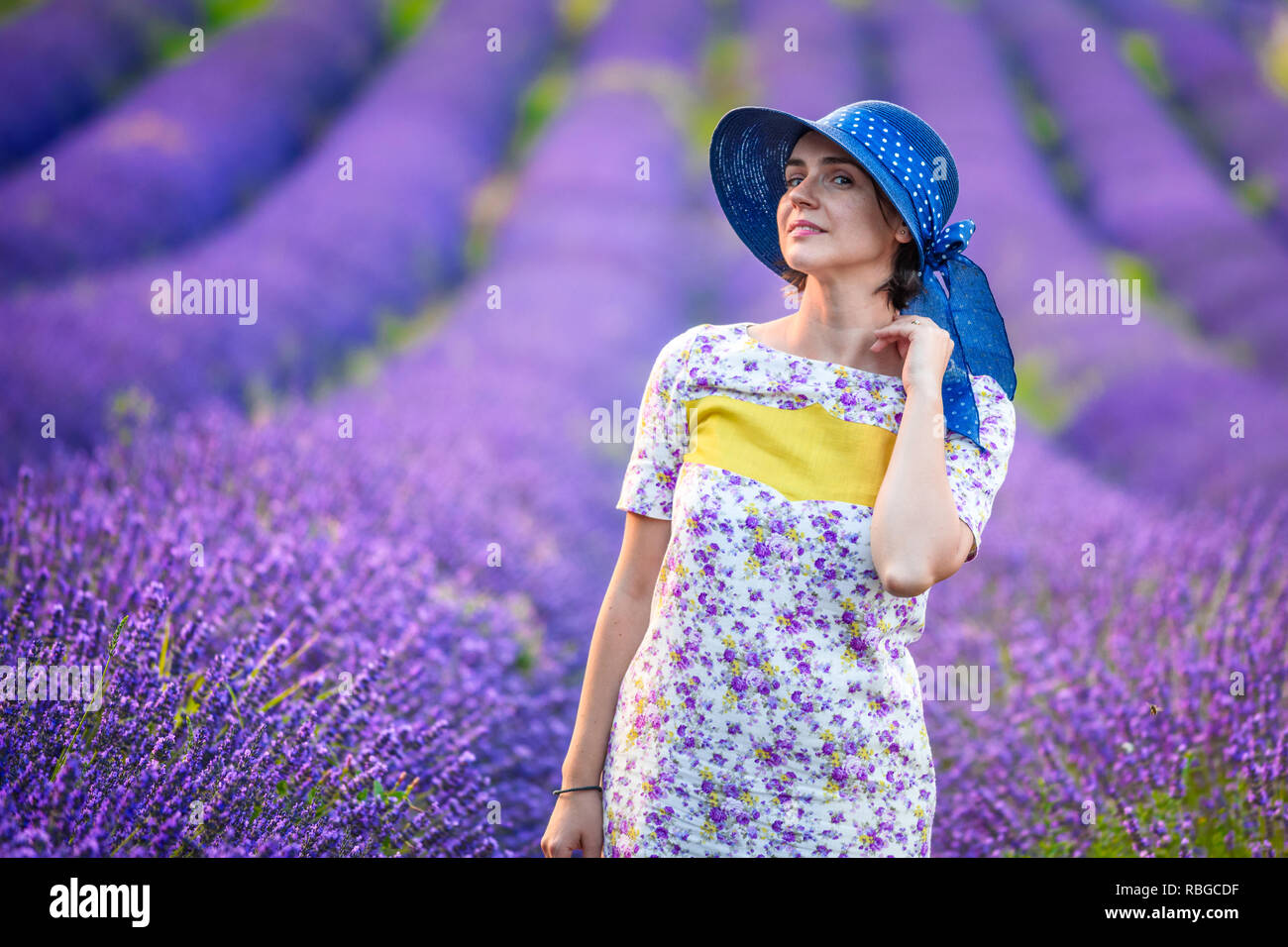 Provence, Francce. Lavender field summer sunset landscape near ...