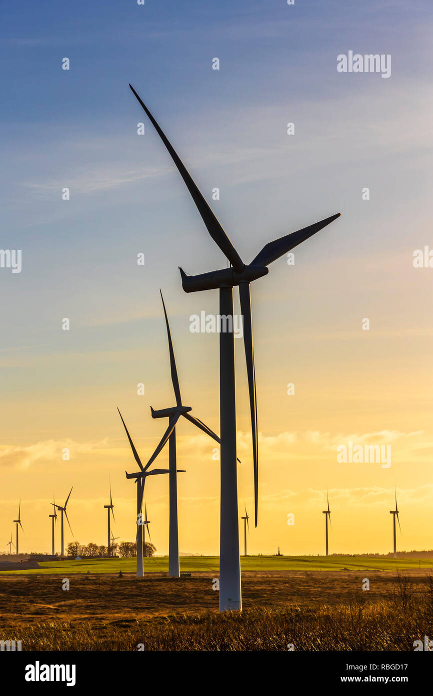 Whitelee wind farm, owned by Scottish Power renewable, a part of the ...