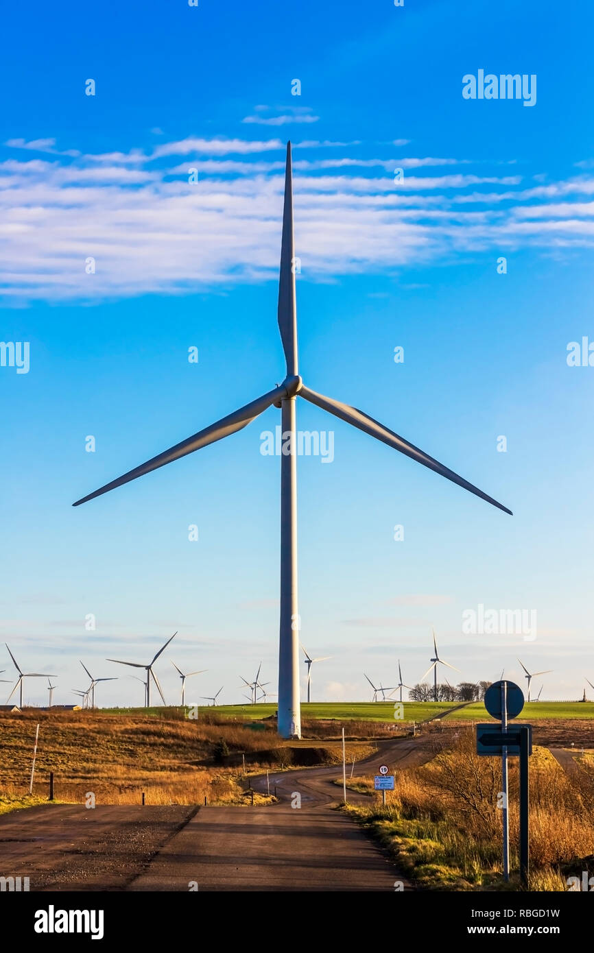 Whitelee wind farm, owned by Scottish Power renewable, a part of the ...