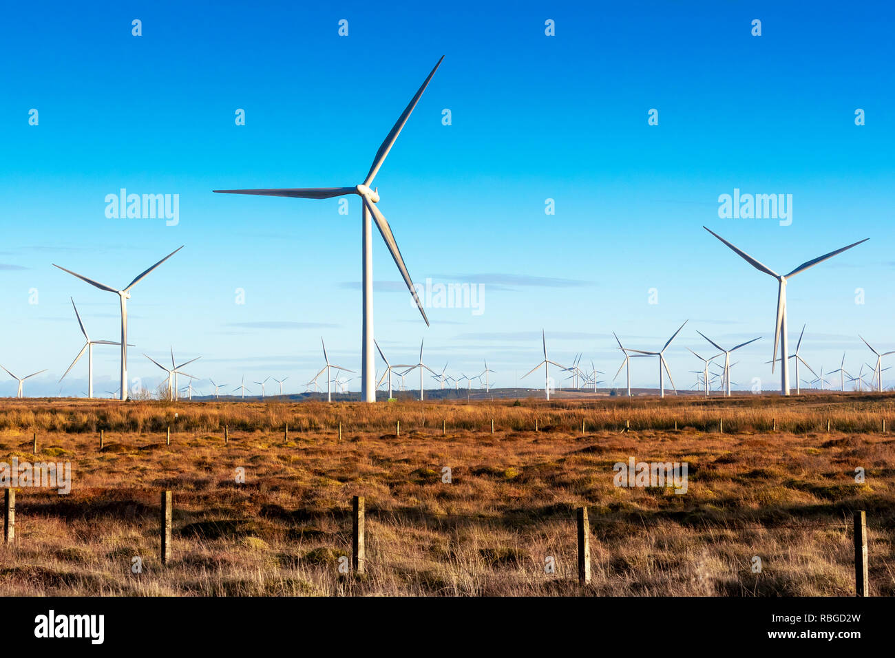Scottish power hi-res stock photography and images - Alamy