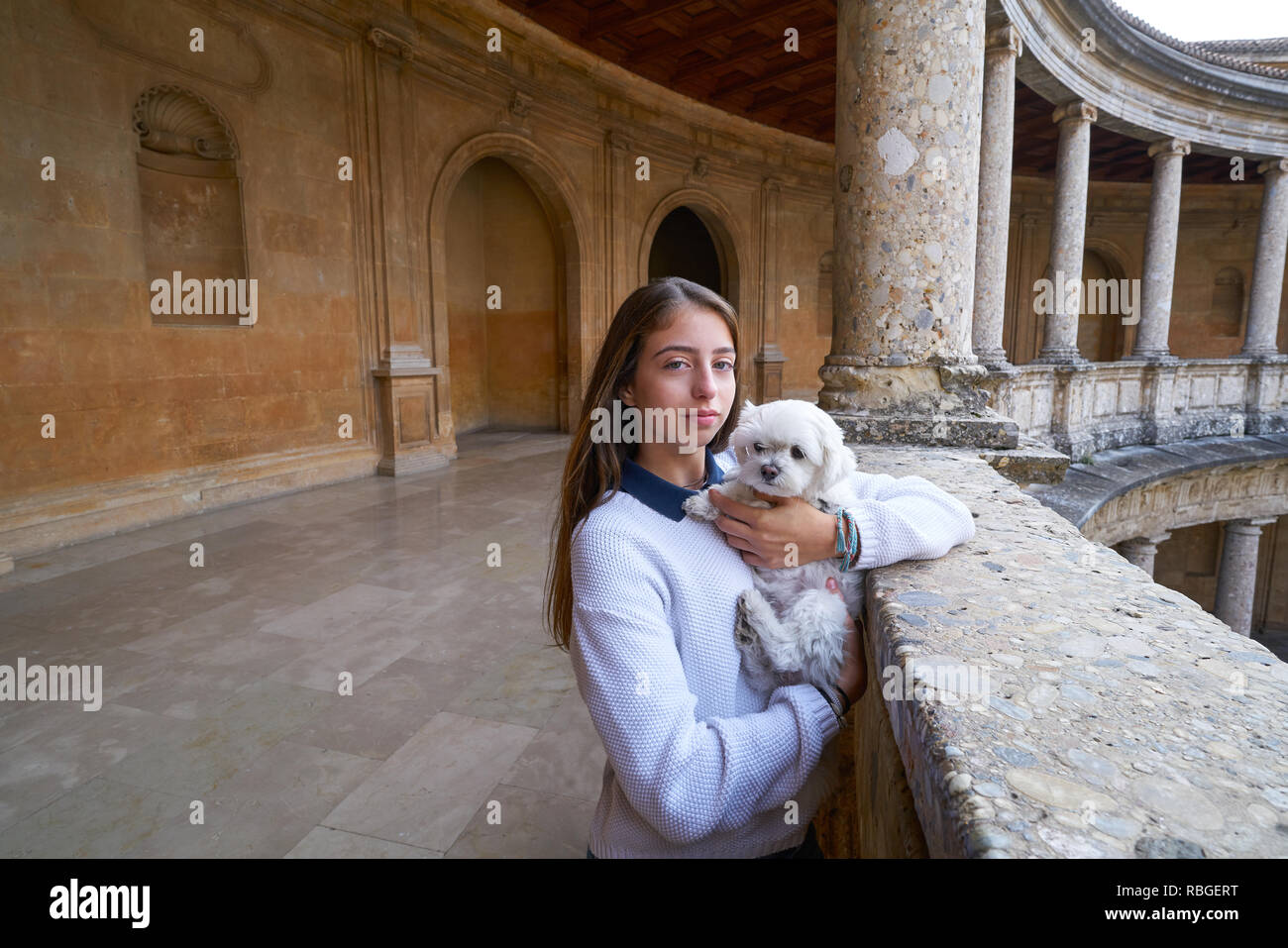 Tourist girl with pet doy in Alhambra of Granada in Spain Stock Photo ...