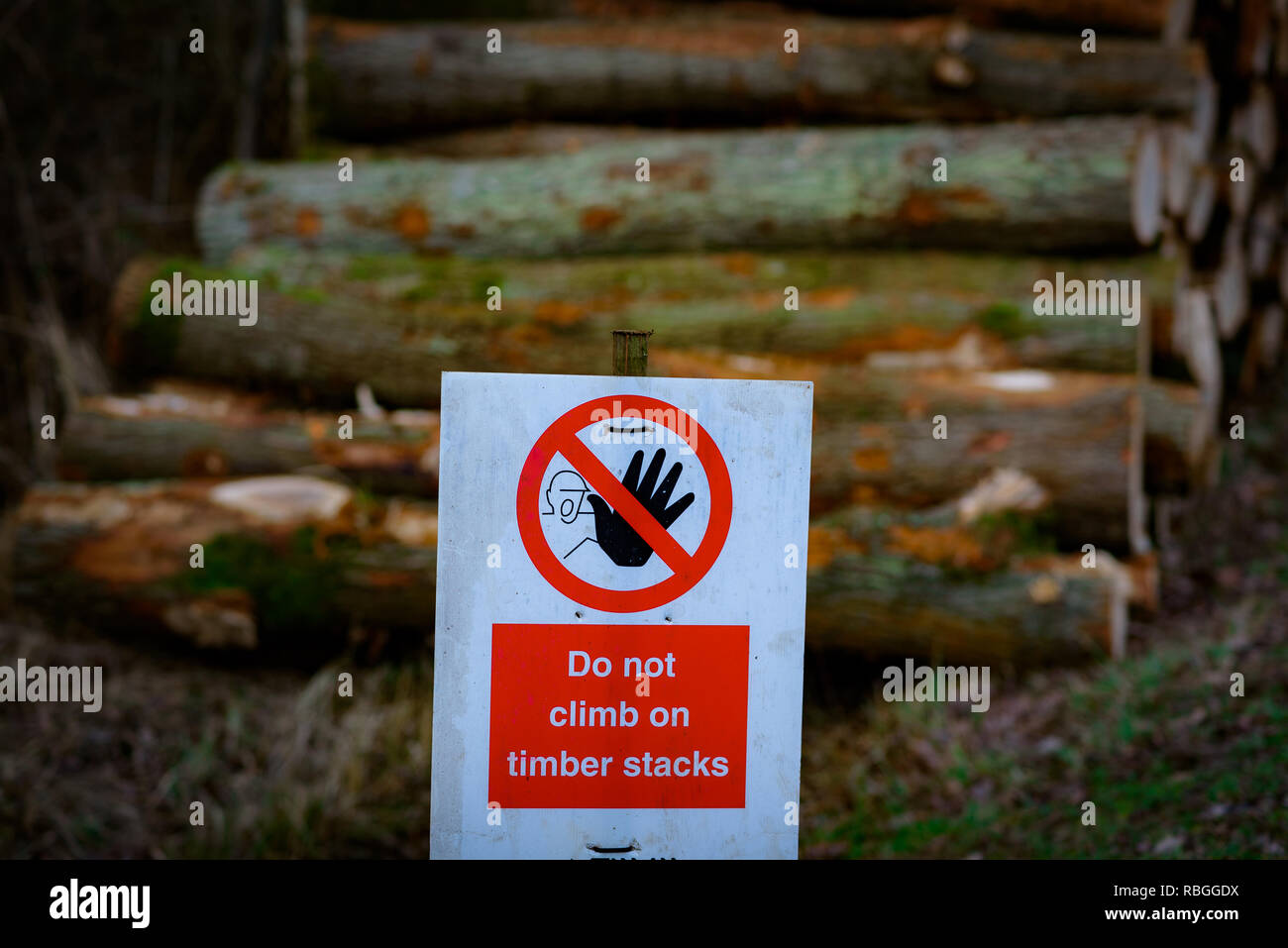 Warning / Danger Sign. Fresh cut and stacked logs / timber. Natural ...