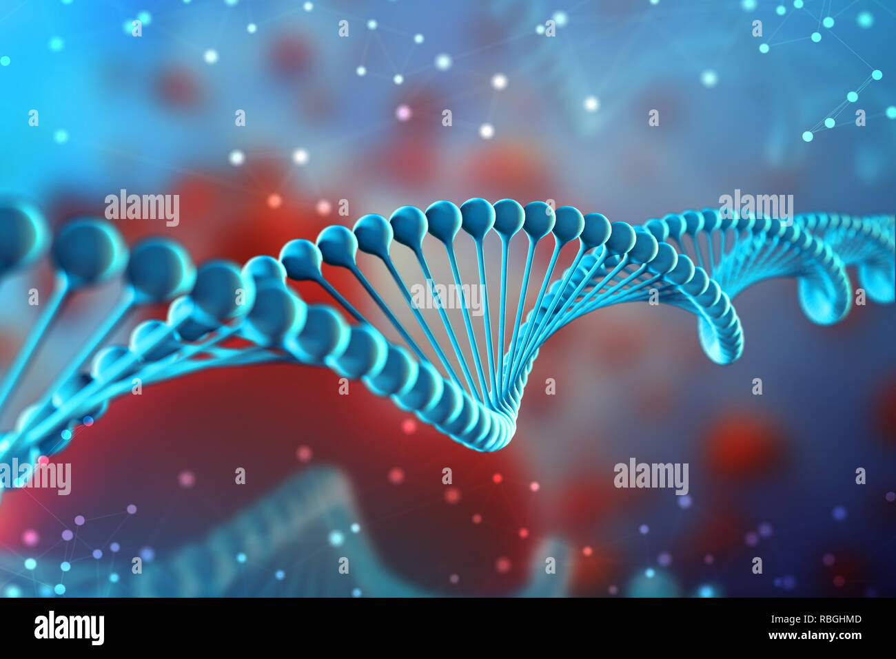 Nucleotide Model 3d