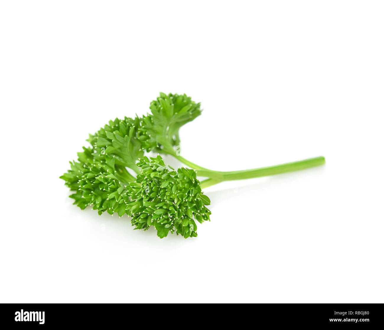 parsley isolated on white background Stock Photo - Alamy