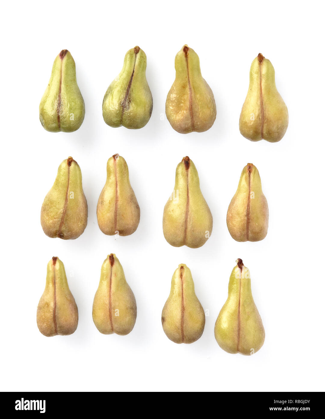 grape Seed isolated on white background Stock Photo - Alamy