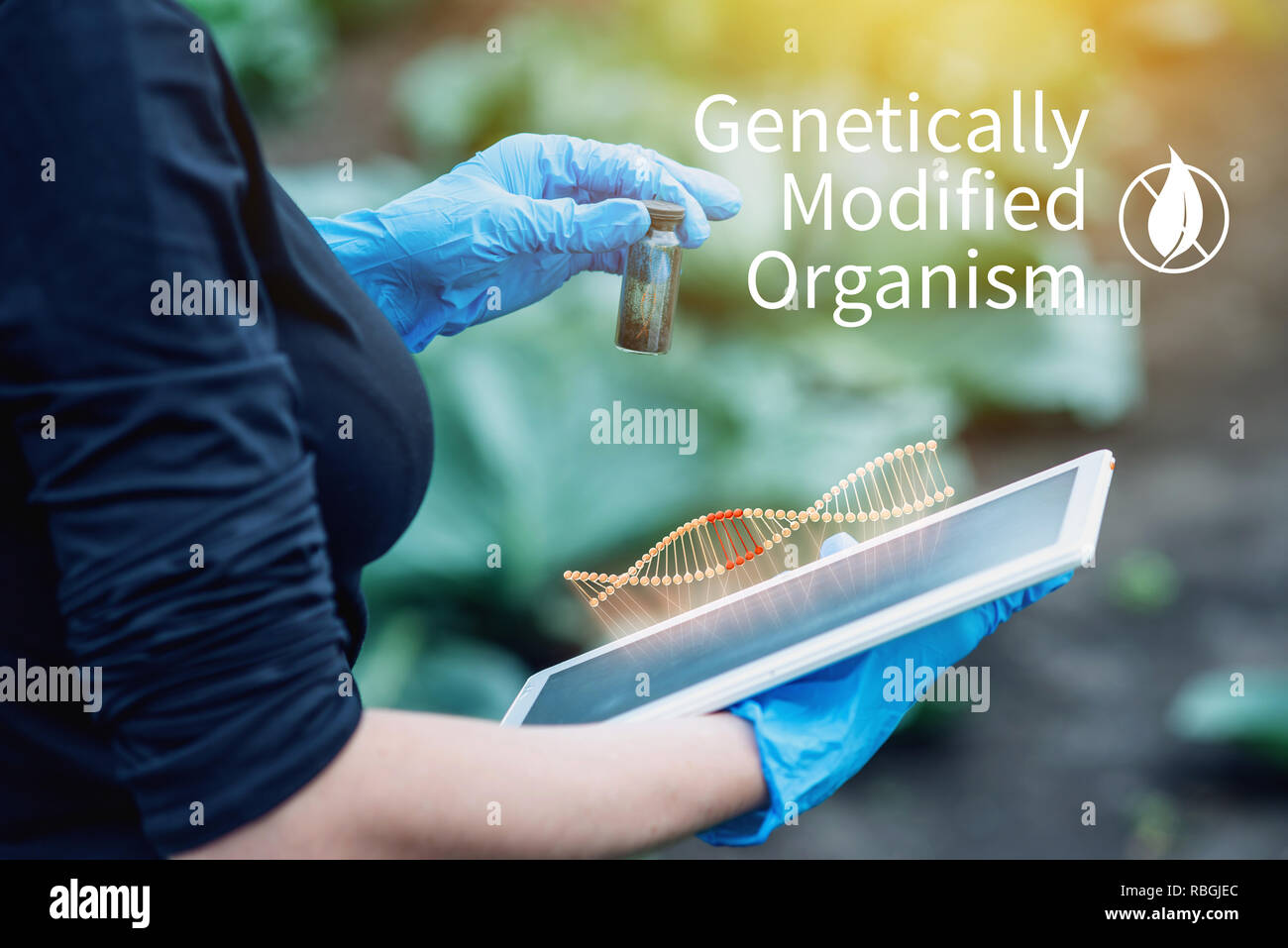 Genetically modified organisms gmos hi-res stock photography and images ...