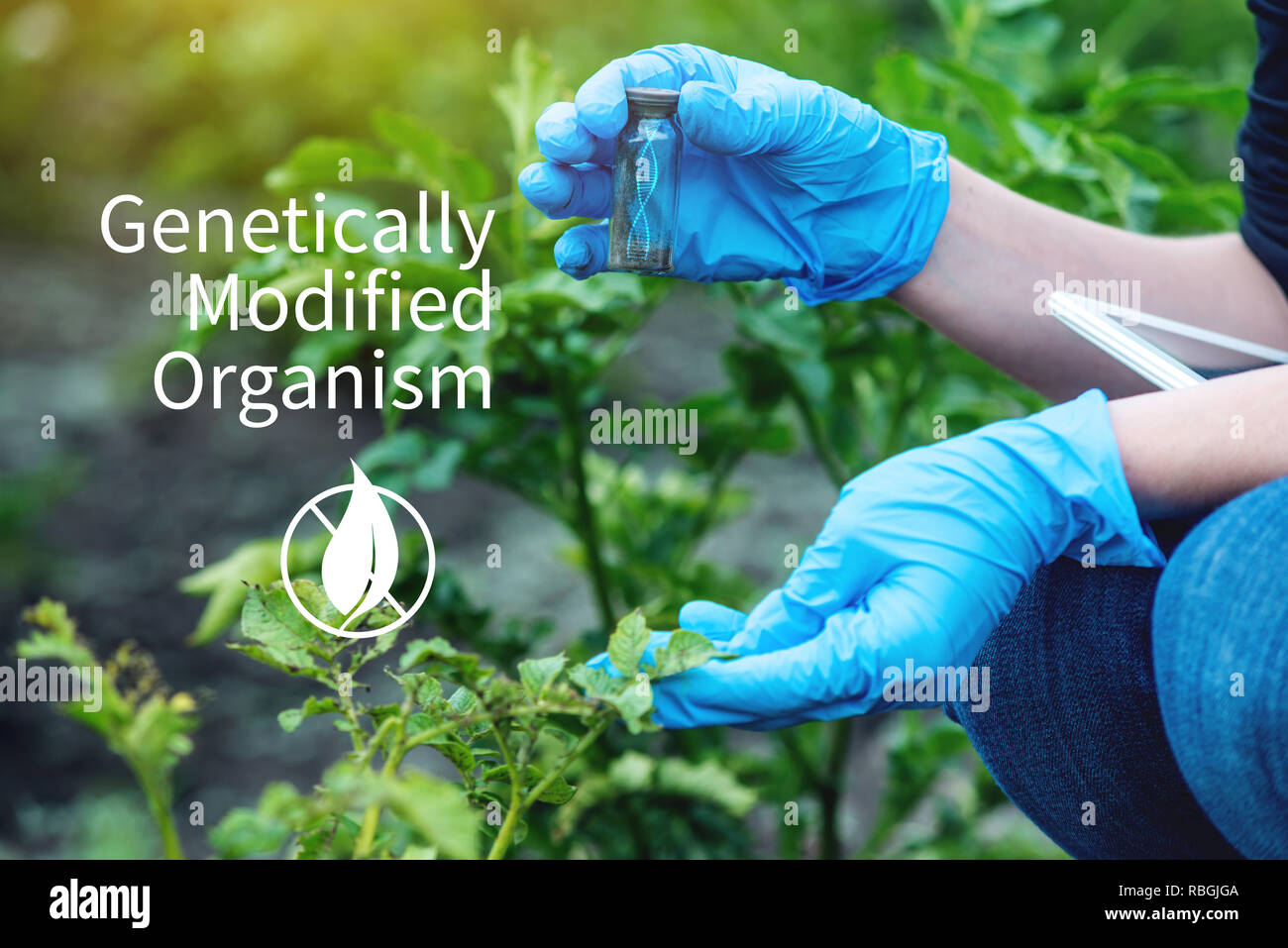 Genetic sequence testing hi-res stock photography and images - Alamy