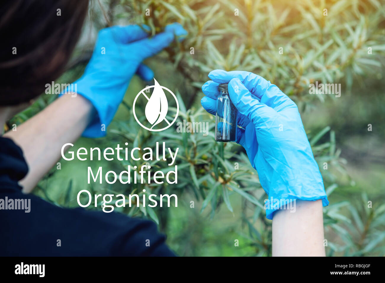 Genetic sequence testing hi-res stock photography and images - Alamy