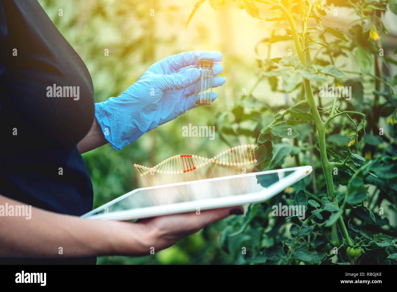 Genetic sequence testing hi-res stock photography and images - Alamy