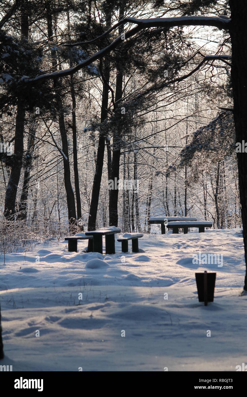 beautiful cold frosty winter day outdoor in country side with shine ...