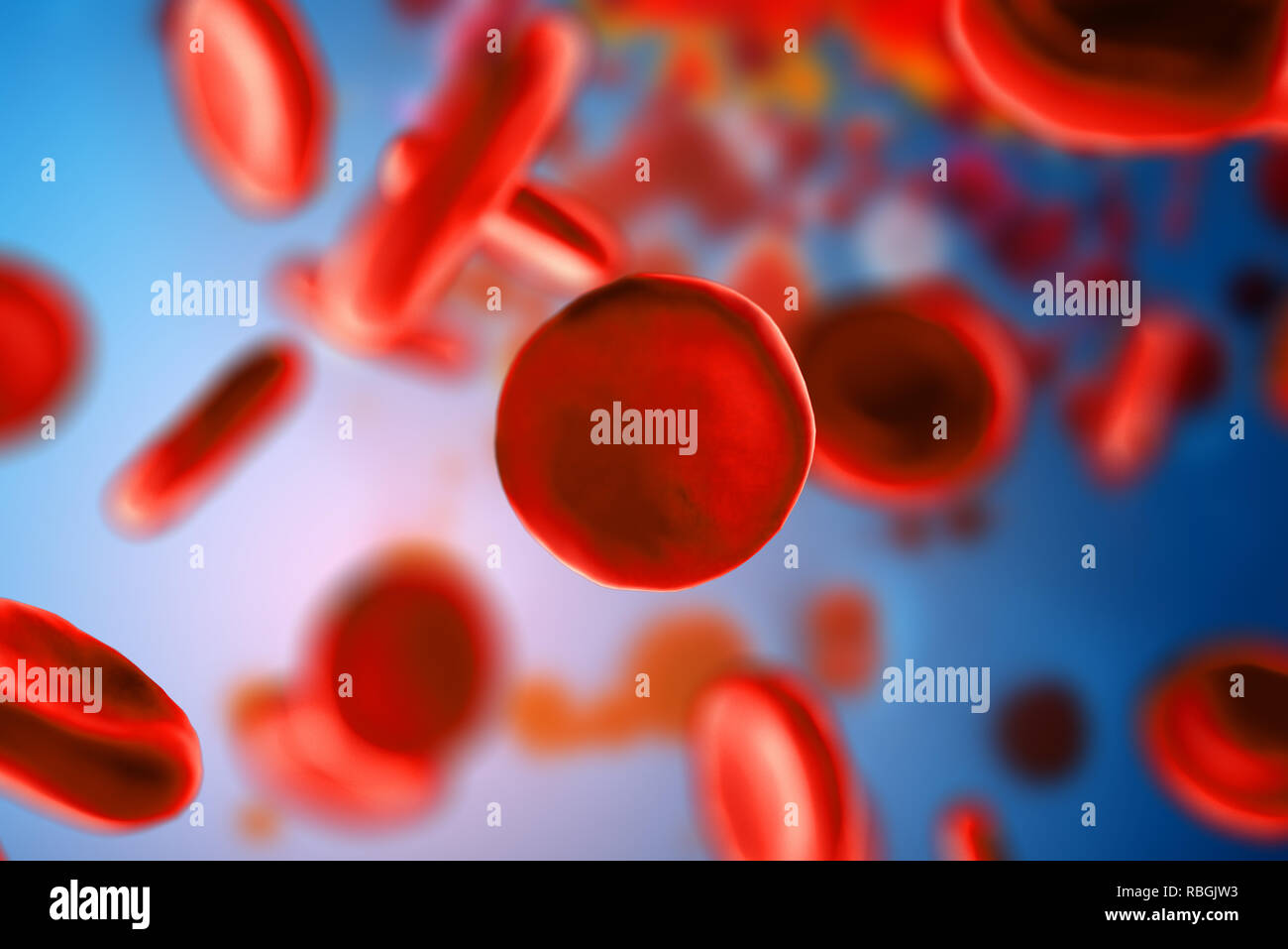 3d illustration of red blood cells erythrocytes close-up under a ...