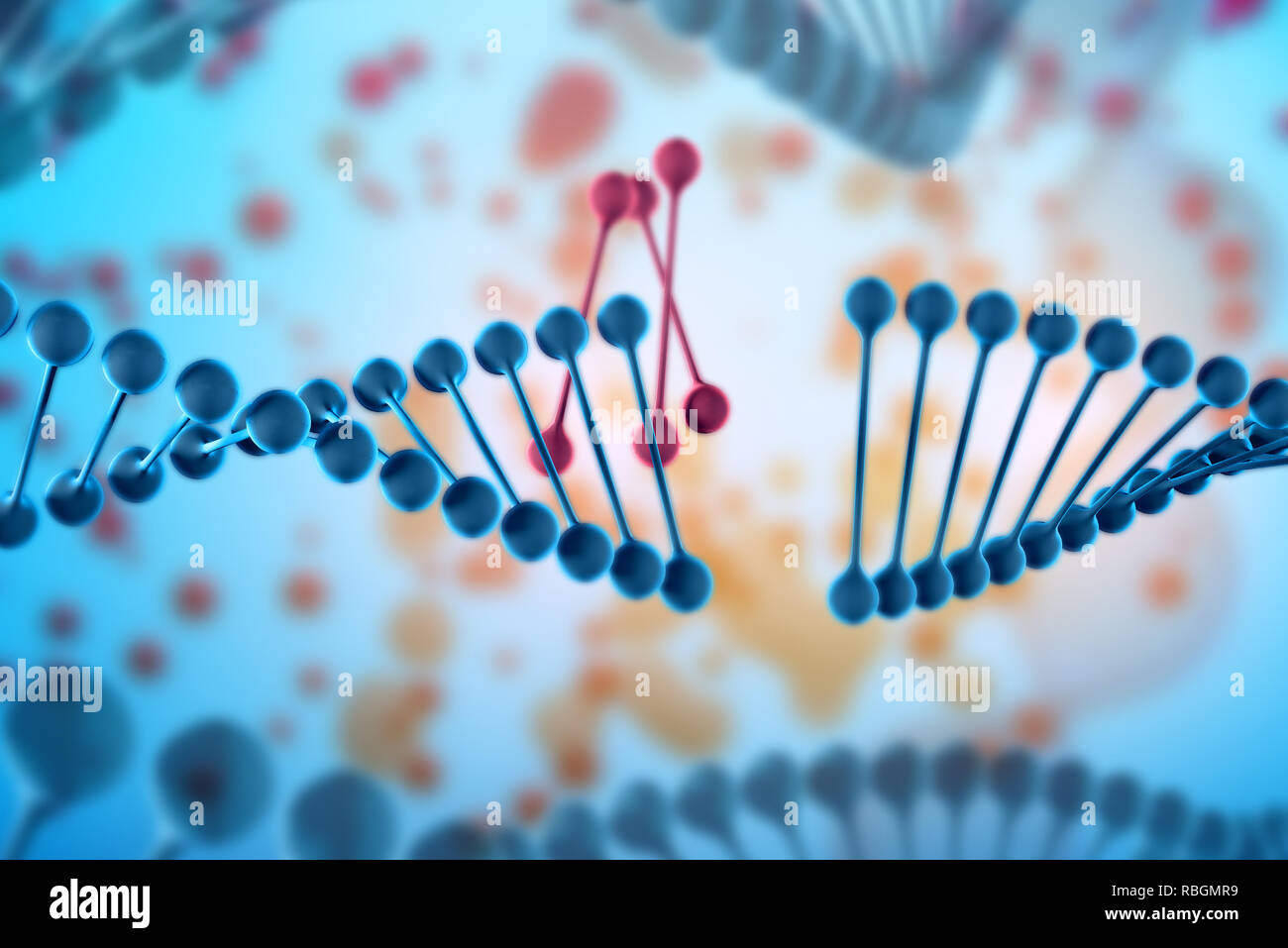 Nucleotide Model 3d