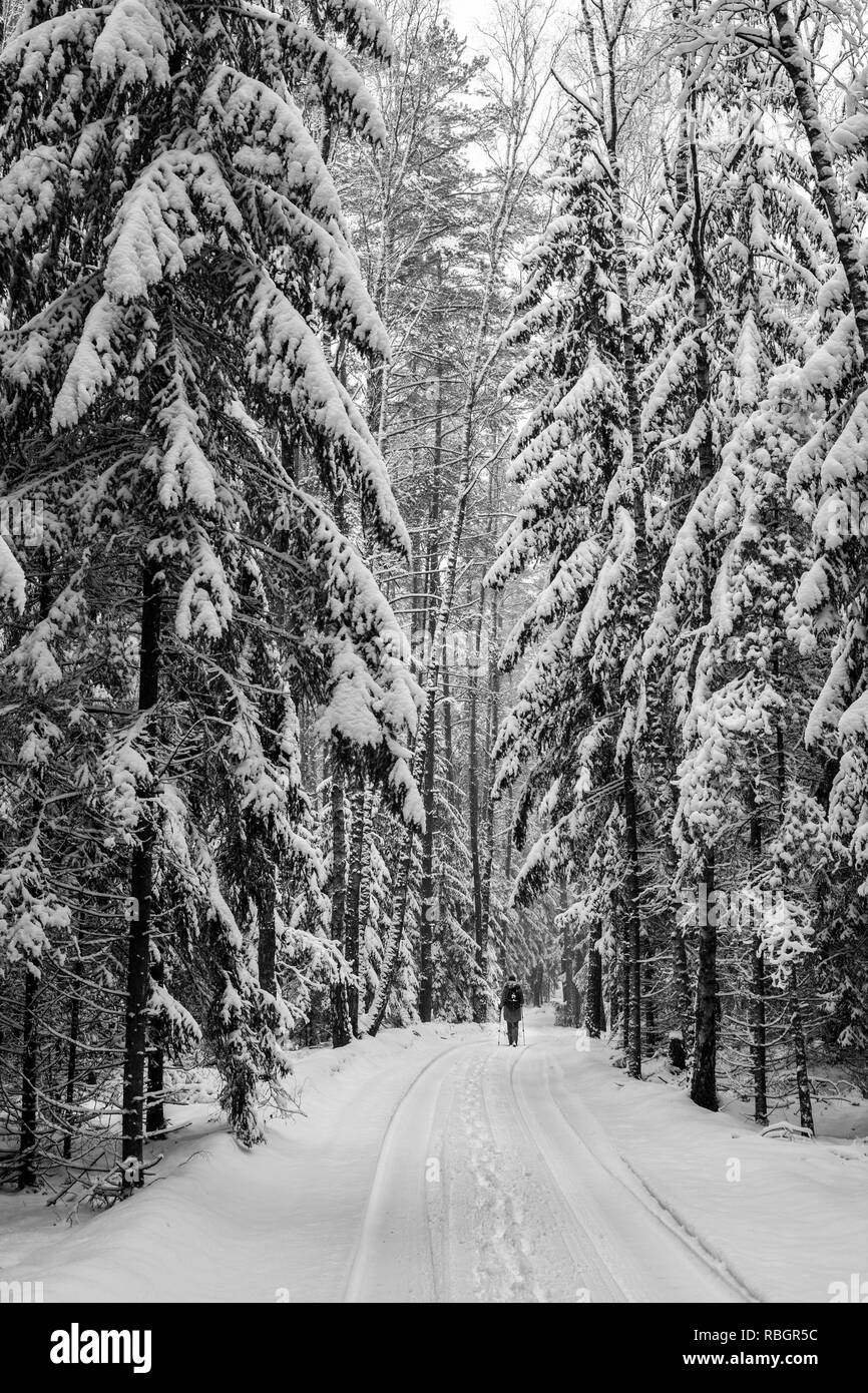 One day hike in the Neris region park, Lithuania Stock Photo - Alamy