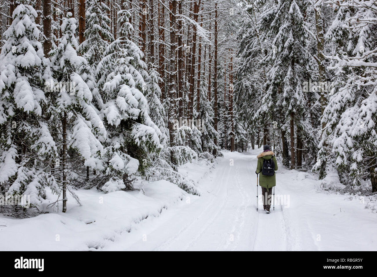 One day hike in the Neris region park, Lithuania Stock Photo - Alamy