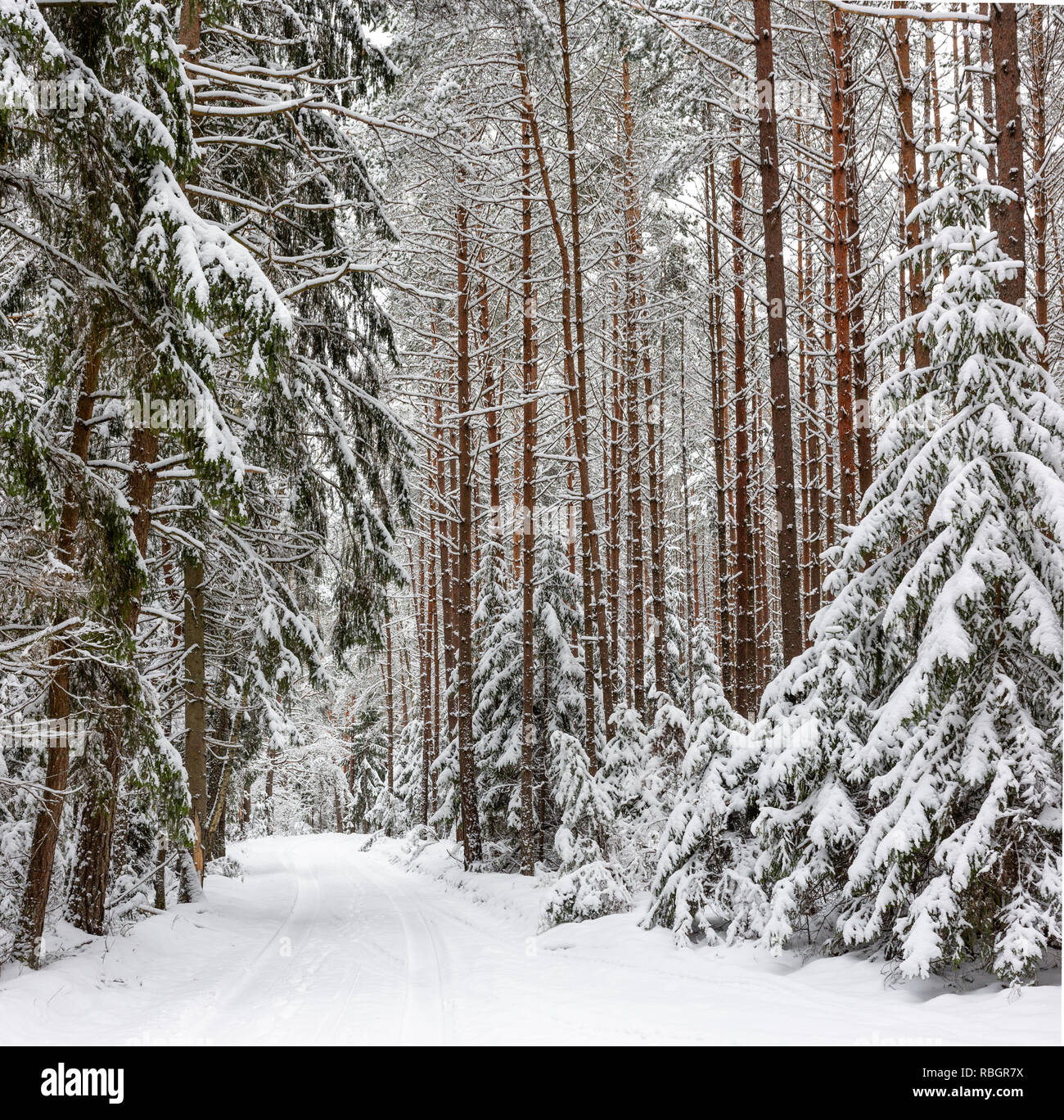 Hike road hi-res stock photography and images - Alamy