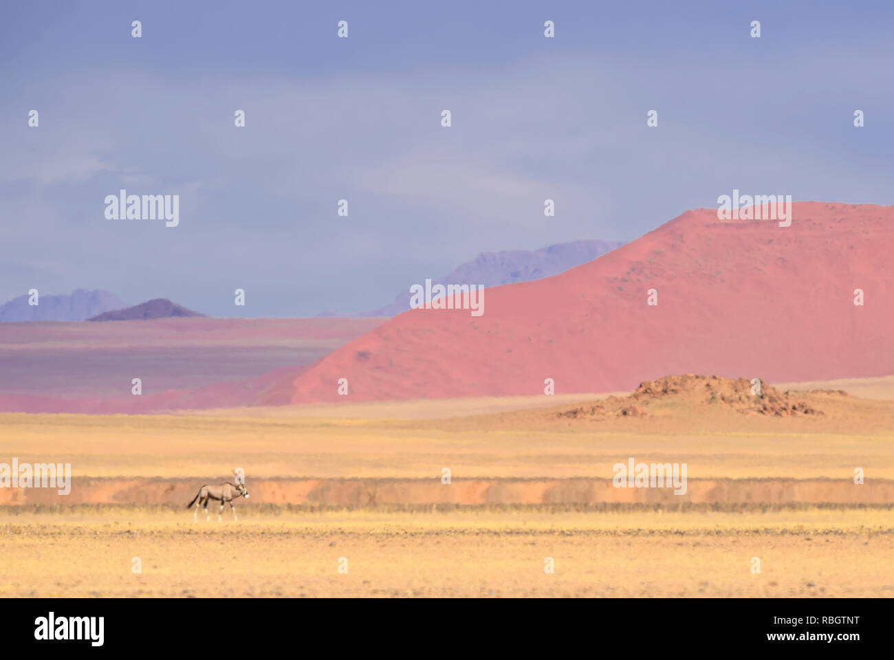 Sossusvlei and sand dunes in the namib desert of namibia hi-res stock ...