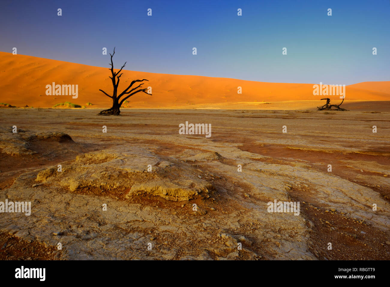 Sossusvlei salt pan with high red sand dunes in Namib desert, Namibia ...