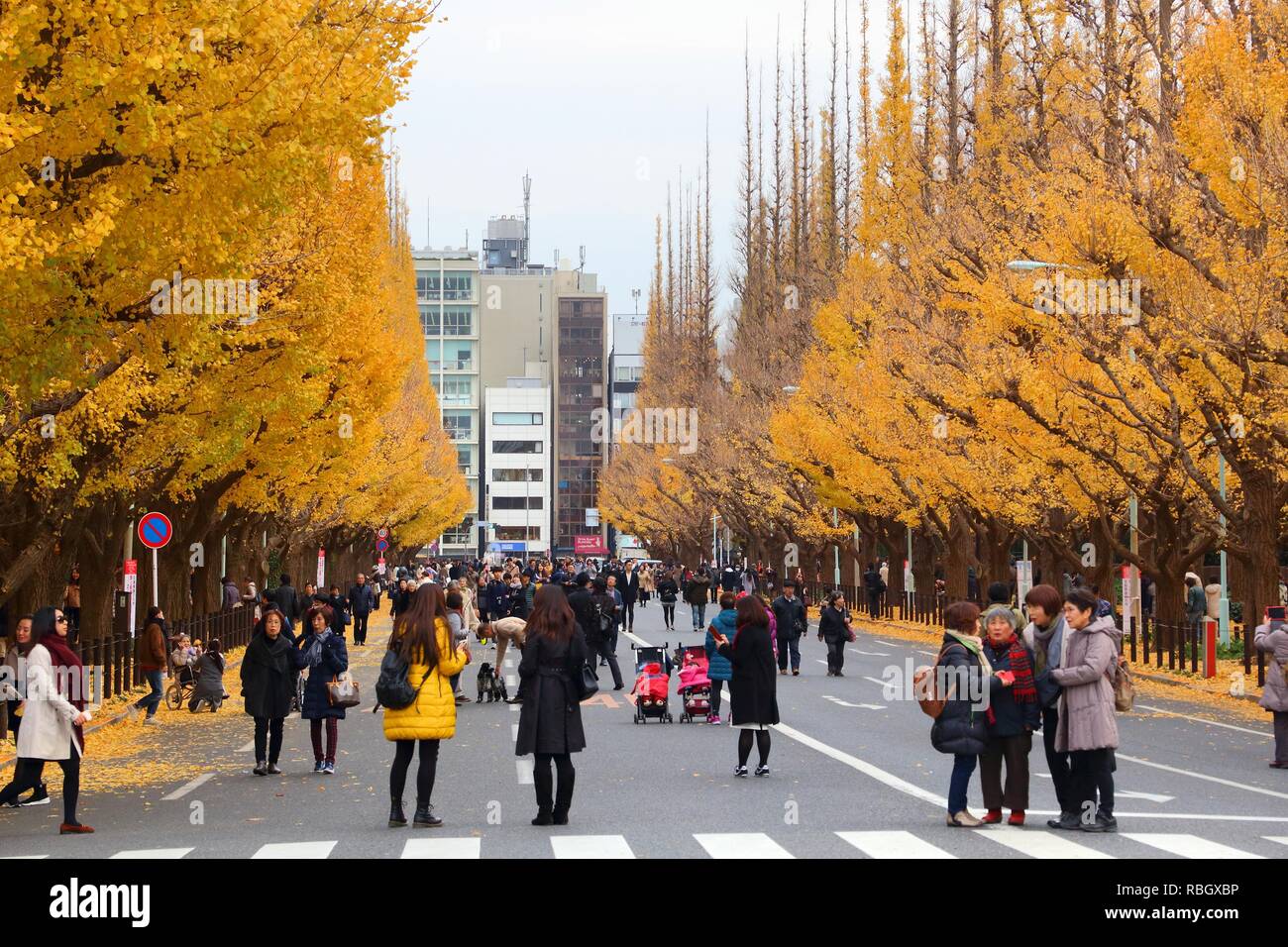 TOKYO, JAPAN - NOVEMBER 30, 2016: People visit Ginkgo Avenue in Tokyo ...