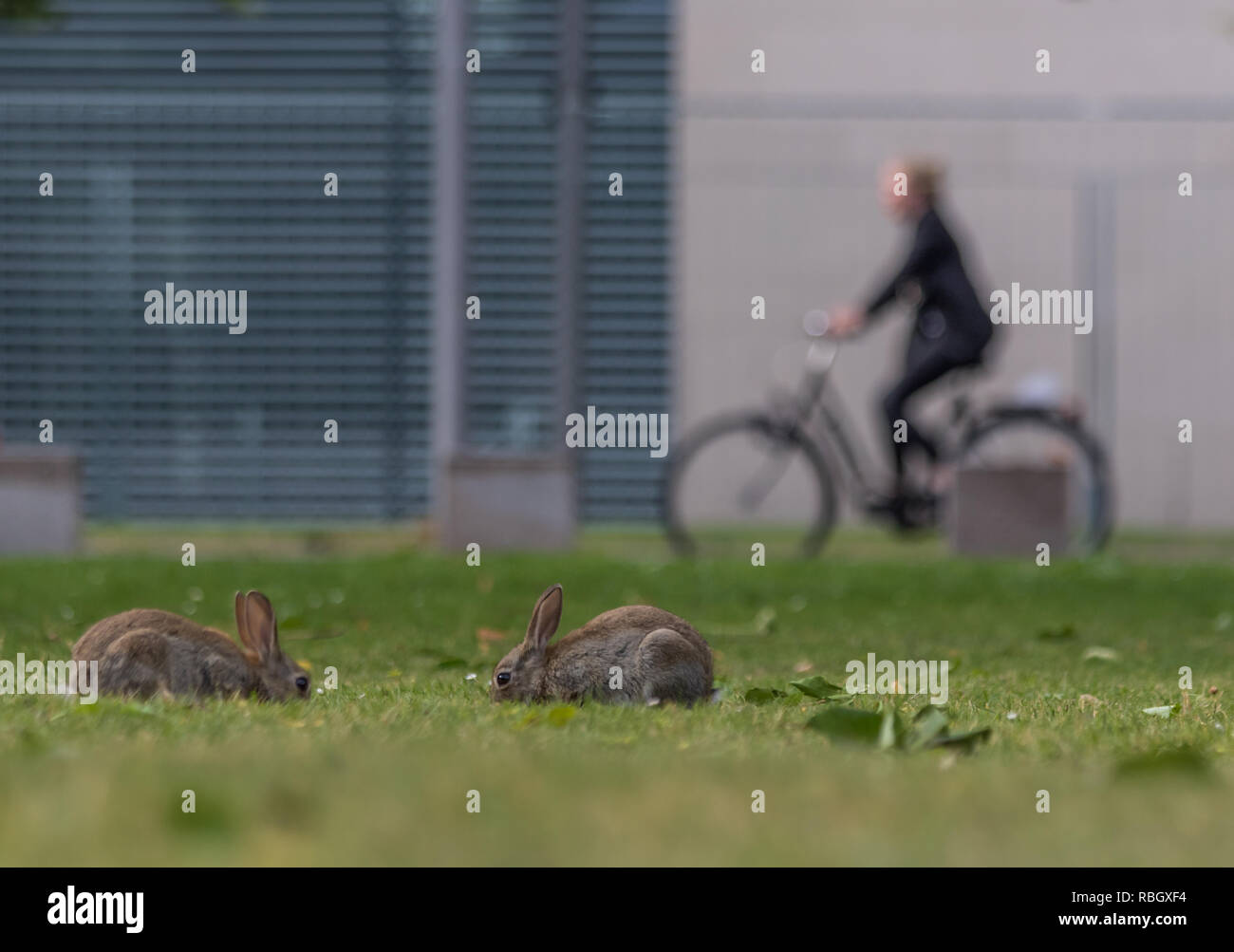 Berlin, Germany - the Tiergarten is probably the most famous park in ...