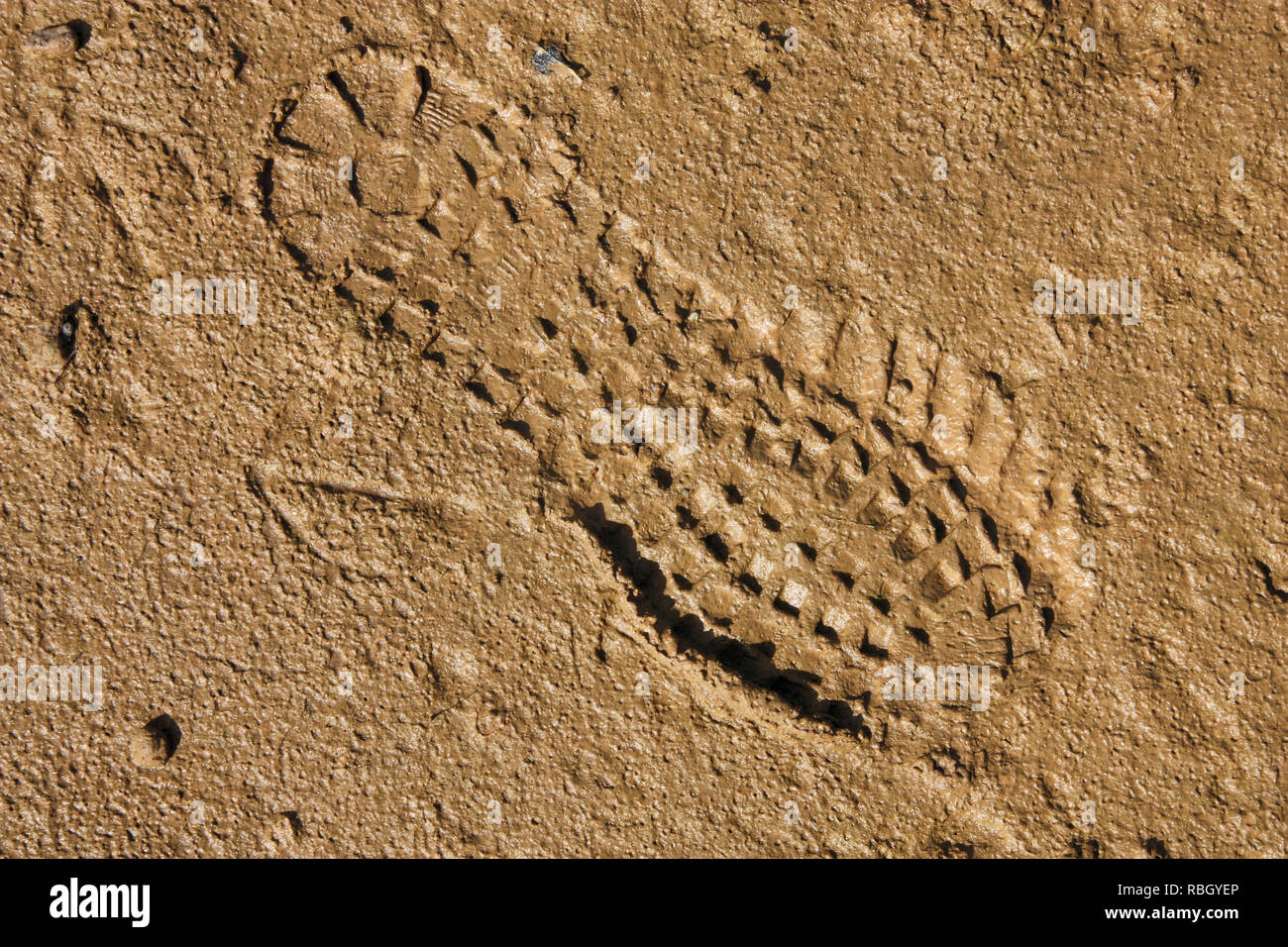 Shoe print mud hi-res stock photography and images - Alamy